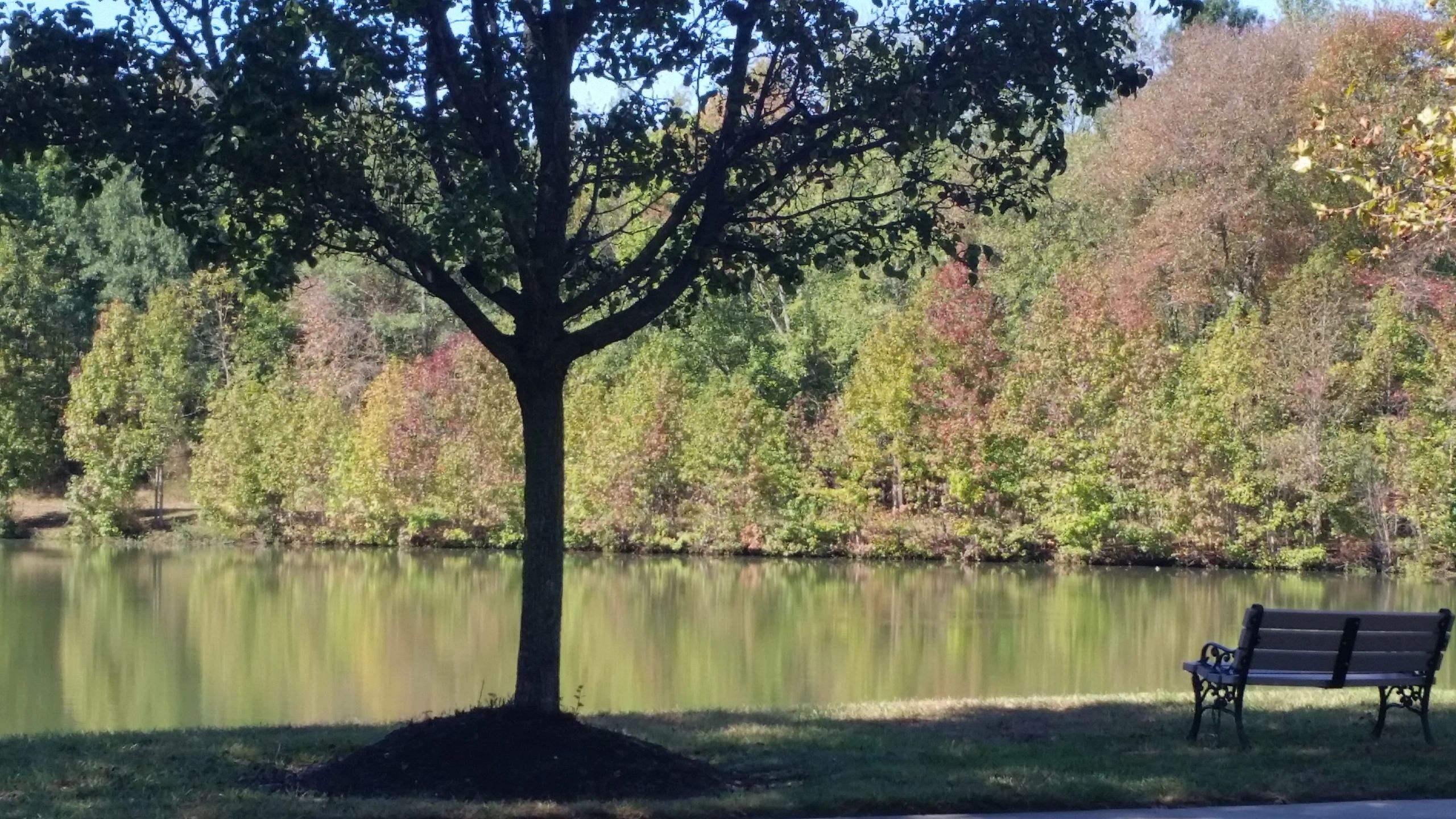 Willowmere Homeowners Association